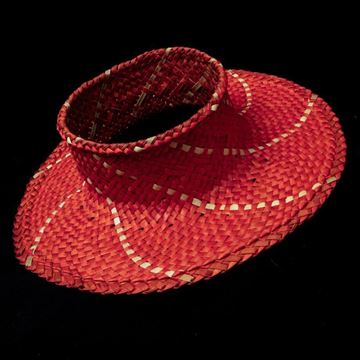 Te Puia, Rotorua Geothermal Park, Māori Culture and Restaurant. Te Rito ...